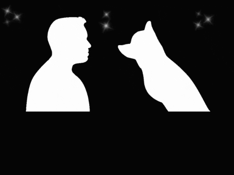 Revival Tour GIFs - Get the best GIF on GIPHY