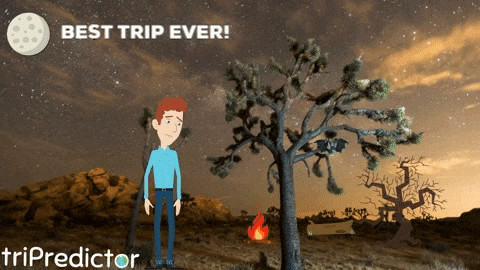 Having Fun On The Trip GIFs - Get the best GIF on GIPHY