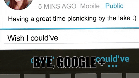 Google Page GIFs - Get the best GIF on GIPHY