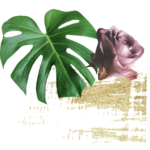 Awaken Dea GIFs on GIPHY - Be Animated