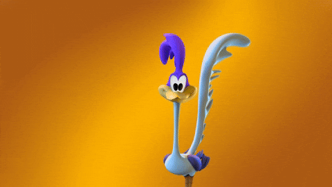 Road Runner Meep Meep Gif