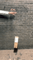 Packing-box GIFs - Get the best GIF on GIPHY