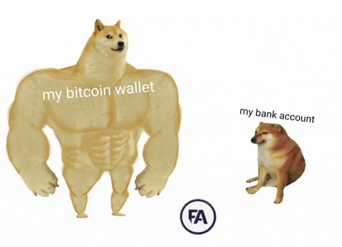 Bitcoin-wallet GIFs - Get the best GIF on GIPHY