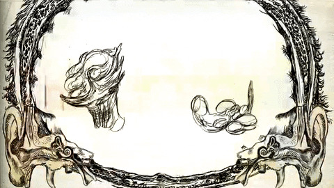 Earlobe GIFs - Get the best GIF on GIPHY