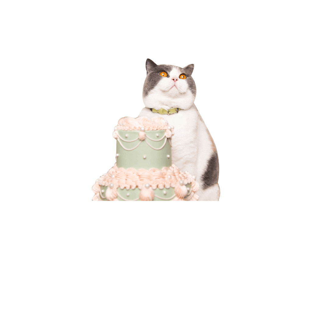 Rococo Collection GIFs on GIPHY - Be Animated