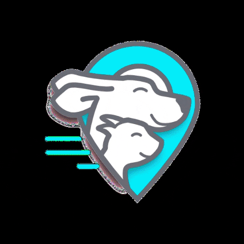 Mappe GIFs - Get the best GIF on GIPHY