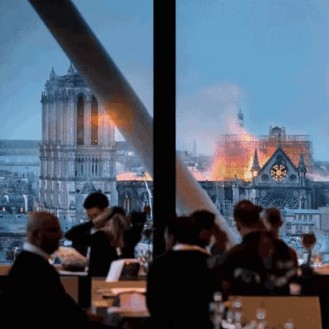 History Is Written By The Victors GIFs - Get the best GIF on GIPHY