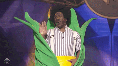 Snl GIF by Saturday Night Live - Find & Share on GIPHY