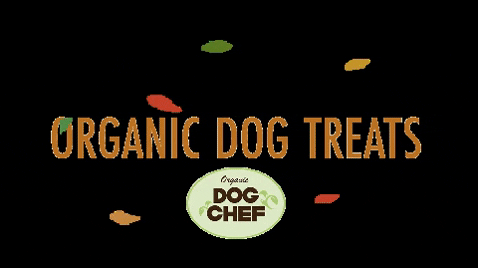 Organic Dog Chef GIFs on GIPHY - Be Animated