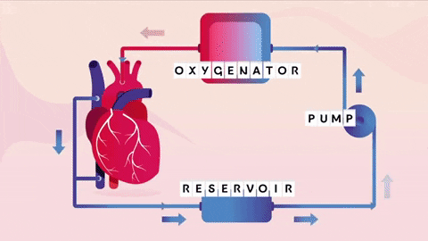 GIF by British Heart Foundation - Find & Share on GIPHY