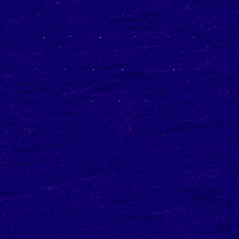 Dont-be-counted-out-fill-out-your-census GIFs - Get the best GIF on GIPHY