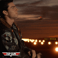 Top Gun Goose Gif