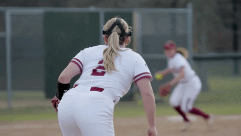 Ncaa Softball GIF by Colgate Athletics - Find & Share on GIPHY