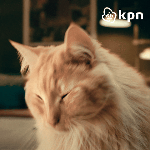 KPN GIFs on GIPHY - Be Animated