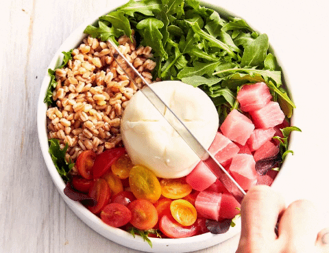 GIF by Burrata House - Find & Share on GIPHY