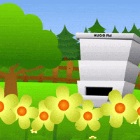 Buzzy-bee GIFs - Get the best GIF on GIPHY