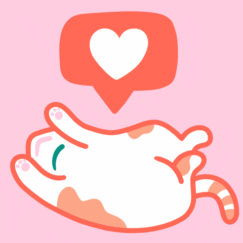 Cat Belly GIFs - Get the best GIF on GIPHY