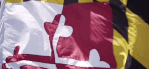 Uae National Day Flag Animated GIFs - Get the best GIF on GIPHY