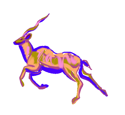 Animal movement by Nimurad | GIPHY