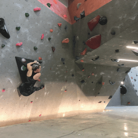 Boulderhall GIFs - Get the best GIF on GIPHY