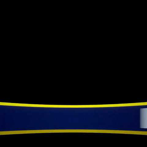 St-louis-hockey GIFs - Get the best GIF on GIPHY