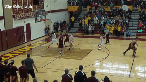 Basketball Hoops GIF by The Telegraph - Find & Share on GIPHY
