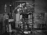 Curly Three Stooges Gif