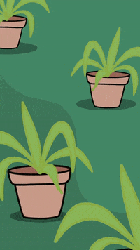 Plant Growing Animated Gif