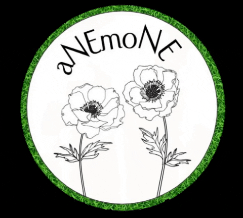 Anemone Jardineria GIF - Find & Share on GIPHY