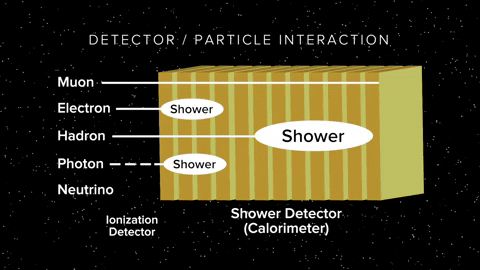 Calorimeter GIFs - Get the best GIF on GIPHY