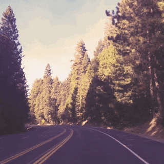 Driving Road Trip GIF by Jess - Find & Share on GIPHY