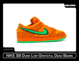 20th NIKE SB Dunk GIFs on GIPHY - Be Animated