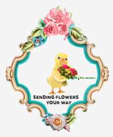 Mirror-frame GIFs - Get the best GIF on GIPHY