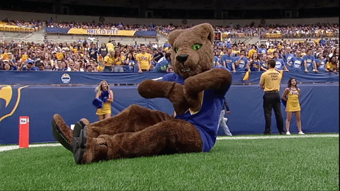 ROC The Panther by Pitt Panthers | GIPHY