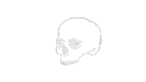 Rotating Skull Gif