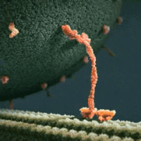 Gas Particles Gif