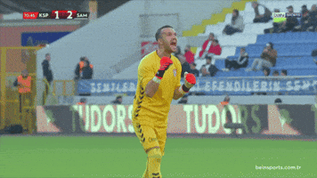 YILPORT SAMSUNSPOR GIFs on GIPHY - Be Animated