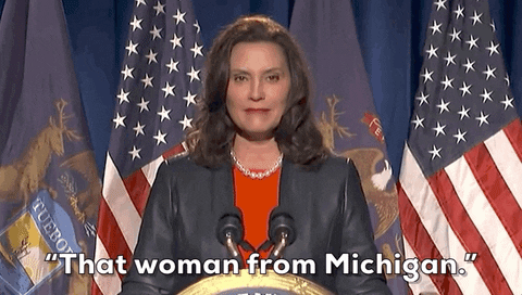 Gretchen Whitmer 2020 Dnc GIF by Election 2020 - Find & Share on GIPHY