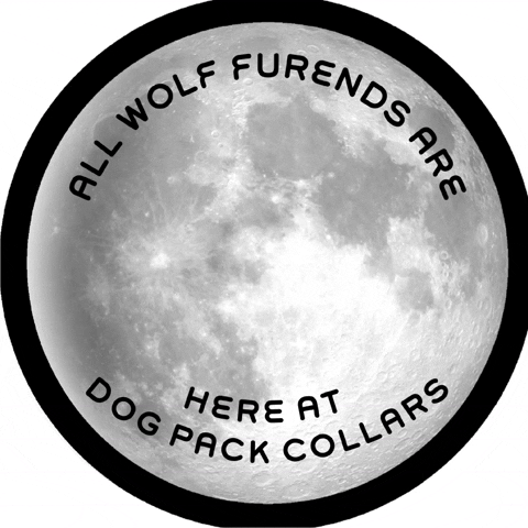 Dog Pack Collars GIFs - Get the best GIF on GIPHY