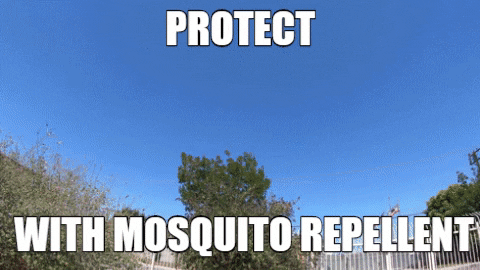 Mosquito Repellent GIFs - Get the best GIF on GIPHY