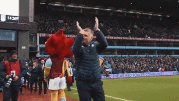 Soccer Fan Celebration Gif