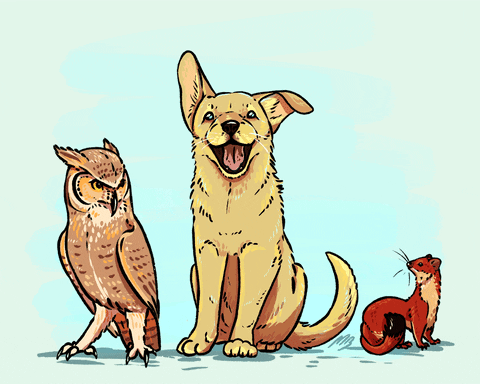 Mighty Nein GIFs - Get the best GIF on GIPHY