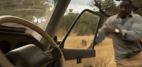 Lion Attack GIF by Beast - Find & Share on GIPHY