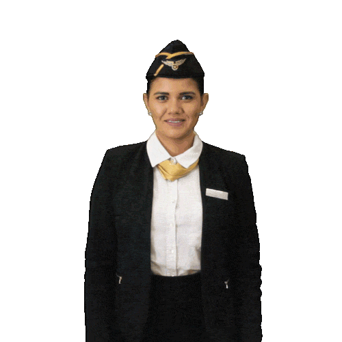 Continencia Aeromoca Sticker by nowall for iOS & Android | GIPHY