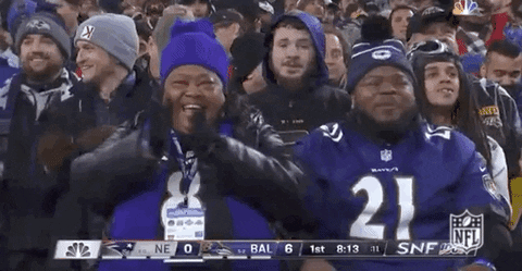 Baltimore Fans GIFs - Get the best GIF on GIPHY