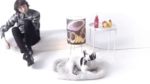 Oh Yeah Dog GIF by PC Music - Find & Share on GIPHY