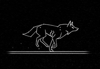 Running Wolf Gif