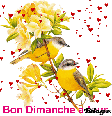 Bon-dimanche GIFs - Get the best GIF on GIPHY