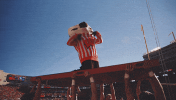 2024 Football GIFs on GIPHY - Be Animated