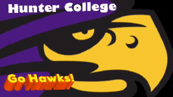 Hunter College Admissions Team GIFs on GIPHY - Be Animated